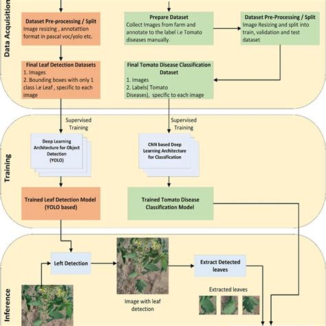 The End To End Tomato Disease Classificationdetection Download