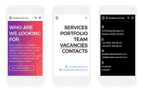 Academy Smart On Behance
