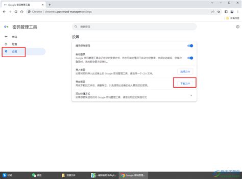 谷歌浏览器保存的密码如何导出？ 谷歌浏览器导出密码到电脑本地的方法 极光下载站