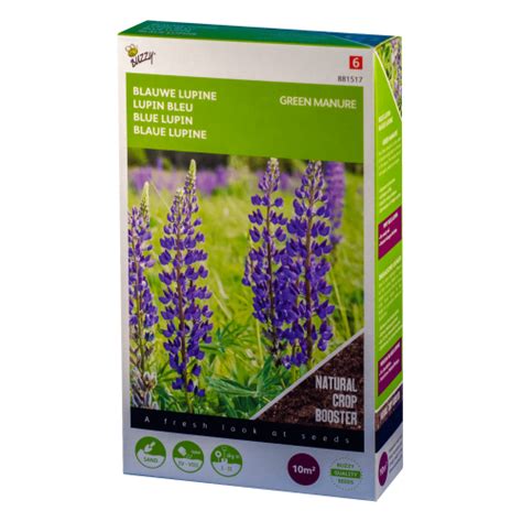 Bijenvoer Phacelia Moestuin Zaden Kopen