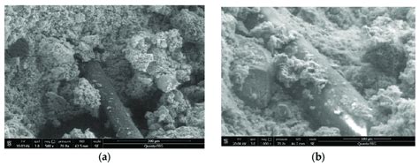 Microstructure Of Fracture Surface After Flexural Strength Test A