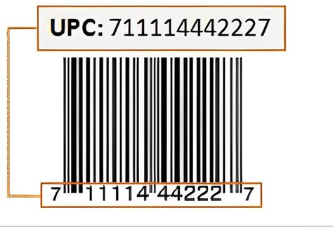 Learn More About Amazon Product Identifiers Amazon Asin Ean Isbn And Upc Seller Snap