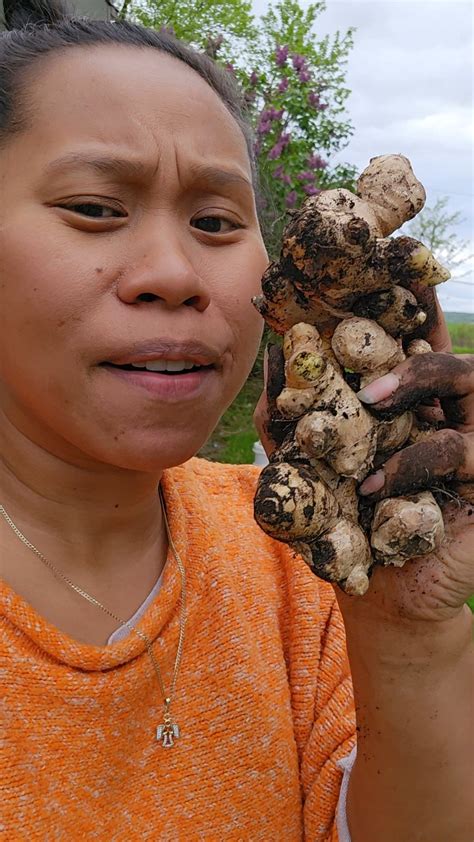 Lay Cote Ang Pinay Lay Cote Ang Pinay Farmer In Canada