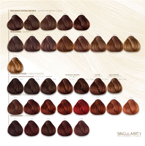 Singularity Color Chart Premium