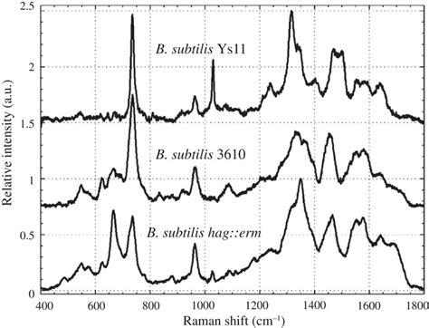 Sers Fingerprints Show Evidence Of Mutants Specificity In Wild Type