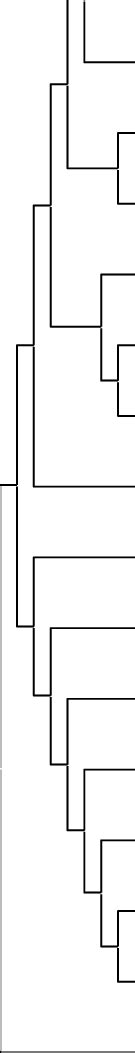 Phylogeny Of C Pipiens The Phylogenetic Tree Was Built Based On The Download Scientific