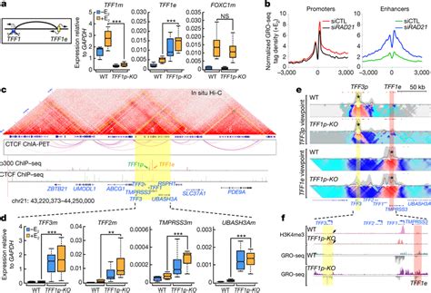 Promoter Deletion Causes Err A Box Plots From Qrt Pcr In Wild Type