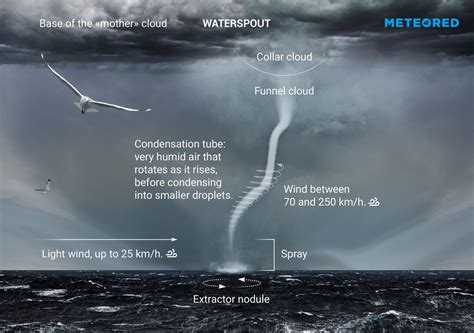 What Are Waterspouts And How Do They Form An Expert Explains Youg
