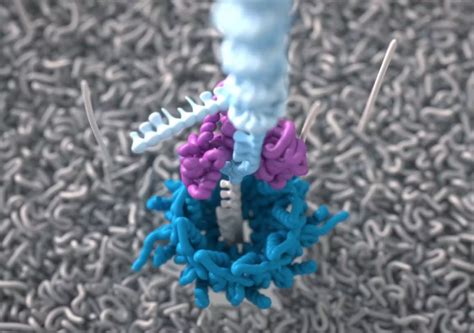 Tổng Quan Giải Trình Tự Dna Nanopore Sinh Học Online