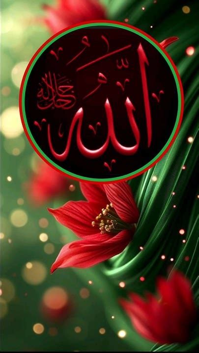 Please Allah Ka Naam Likh Do Viral Explore Youtube Subscribe