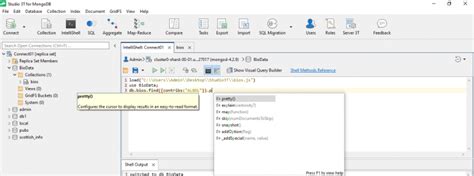 Running MongoDB Queries On The Mongo Shell Studio T