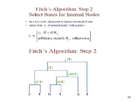 Ch Building Phylogenetic Tree Two General Approaches
