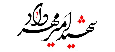 شهید امیر مهرداد معلی