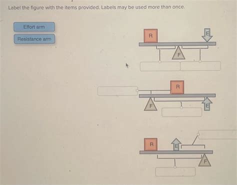 solved label the figure with the items provided labels may