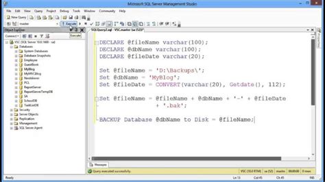 Automating Database Backups With SQL Scripts Datatas