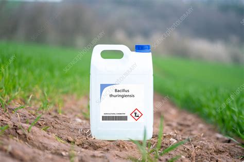 Container Of Bacillus Biopesticide Stock Image F0420431 Science