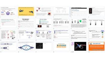 DNA Structure And Replication By The Lesson Laboratory TPT