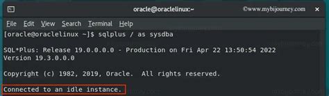 How To Install The Oracle 19c Sample Database