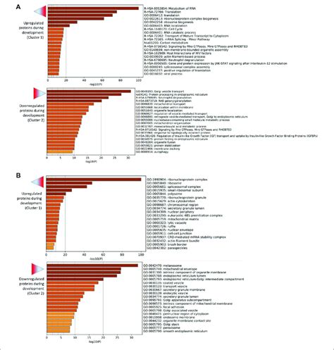 Functional Enrichment Analysis Of Upregulated Cluster 1 And Functional Enrichment Analysis Of Upregulated Cluster 1 And