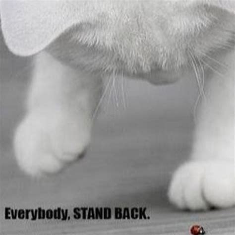 Aidromdu2n2lklr23bmmlxjnitgq9ycnololwbxa8fuzen0o5as900 C K C0x00ffffff No Rj