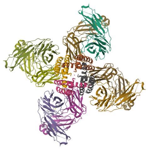 Rcsb Pdb Homepage