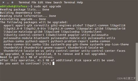 Linux Apt 命令详解 Csdn博客