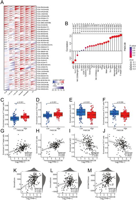 Identification Of Fibronectin Type Iii Domain Containing 3b As A Potential Prognostic And