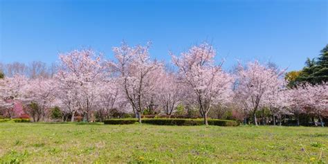 是谁在暴力攻击你的服务器?教你加强 Ssh 端口的防护! 知乎 是谁在暴力攻击你的服务器?教你加强 Ssh 端口的防护! 知乎