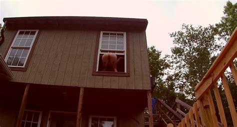 Girl Pees Out A Window