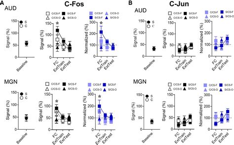 Single Prolonged Stress Alters Neural Activation In The Periacqueductal