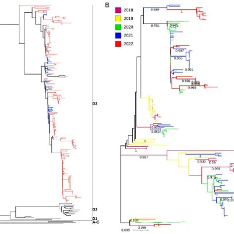 Phylogenetic Analysis Of Cva6 Vp1 Sequences A Branches Are Colored