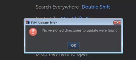 idea no versioned directories to update were found csdn博客