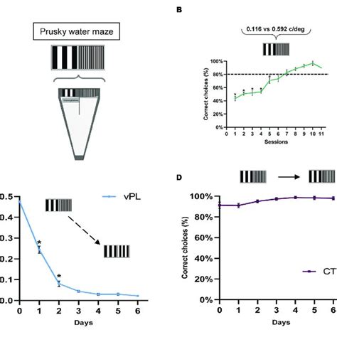 Visual Perceptual Learning Induces Enduring Recovery Of Visual