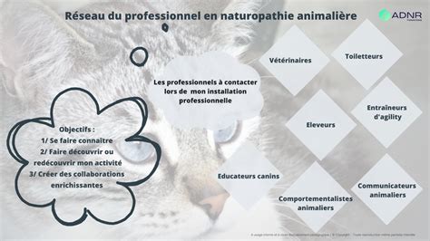 Le Réseau Du Professionnel En Naturopathie Pour Les Animaux