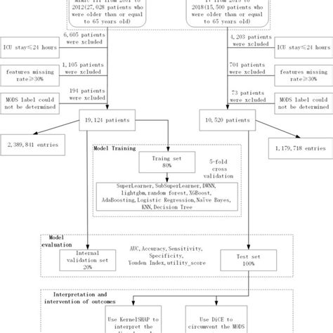 Flow Chart Of Research Programme Download Scientific Diagram