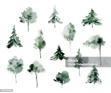 전나무와 나무의 실루엣이 있는 수채화 세트 흰색에 고립 된 꽃 엽서와 초대장을 인사하는 손으로 그린 그림 배경 나무에 대한 스톡 벡터 아트 및 기타 이미지 Istock