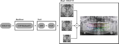 Automated Permanent Tooth Detection And Numbering On Panoramic Radiograph Using Deep Learning