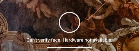 Face Unlock Hardware Not Available Nothing Community