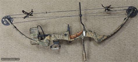 Compound Bow Holographic Sight At Sophia Wiseman Blog
