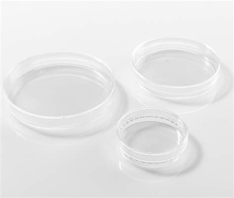 پتری دیش یک بار مصرف 6 سانتی متری Tarvand Sina