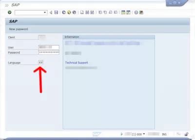 SAP Change Language Of The SAP Interface After Login