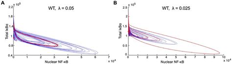 Stochastic Versus Deterministic Solutions For Wt Cells A L~005