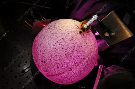 Cockroach Locomotion Study Stock Image G3520263 Science Photo