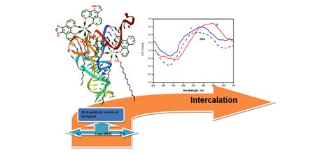 Effect Of Hydrophobicity And Size Of The Ligands On The Intercalative