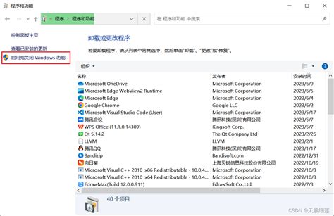 Linux Wsl 适用于linux的windows子系统适用于 Linux 的 Windows 子系统 Wsl Csdn博客