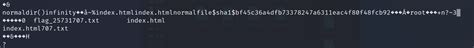 ctfhub 信息泄露 svn泄露 jokak blog