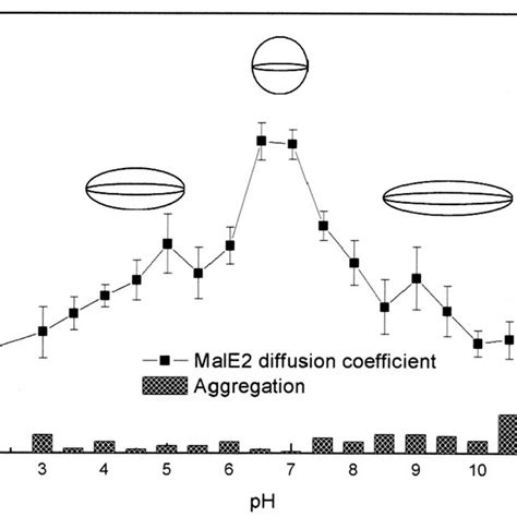 Fluorescence Correlation Spectroscopy Measurements Autocorrelation