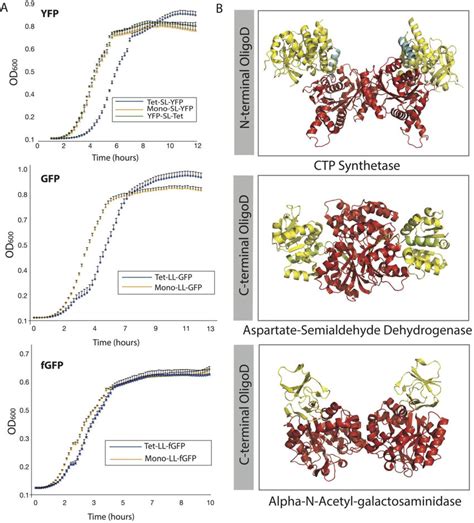 Evolutionary Constraints As A Function Of Assembly A Real Time Download Scientific Diagram