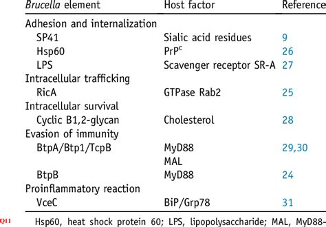 Pathogenesis Related Brucella Spp Ehost Molecular Interacting Elements Download Table