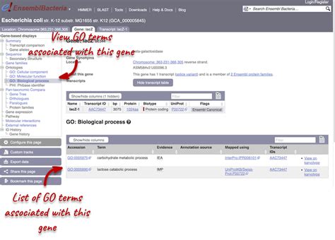 Genes And Transcripts In Ensembl Bacteria Demo